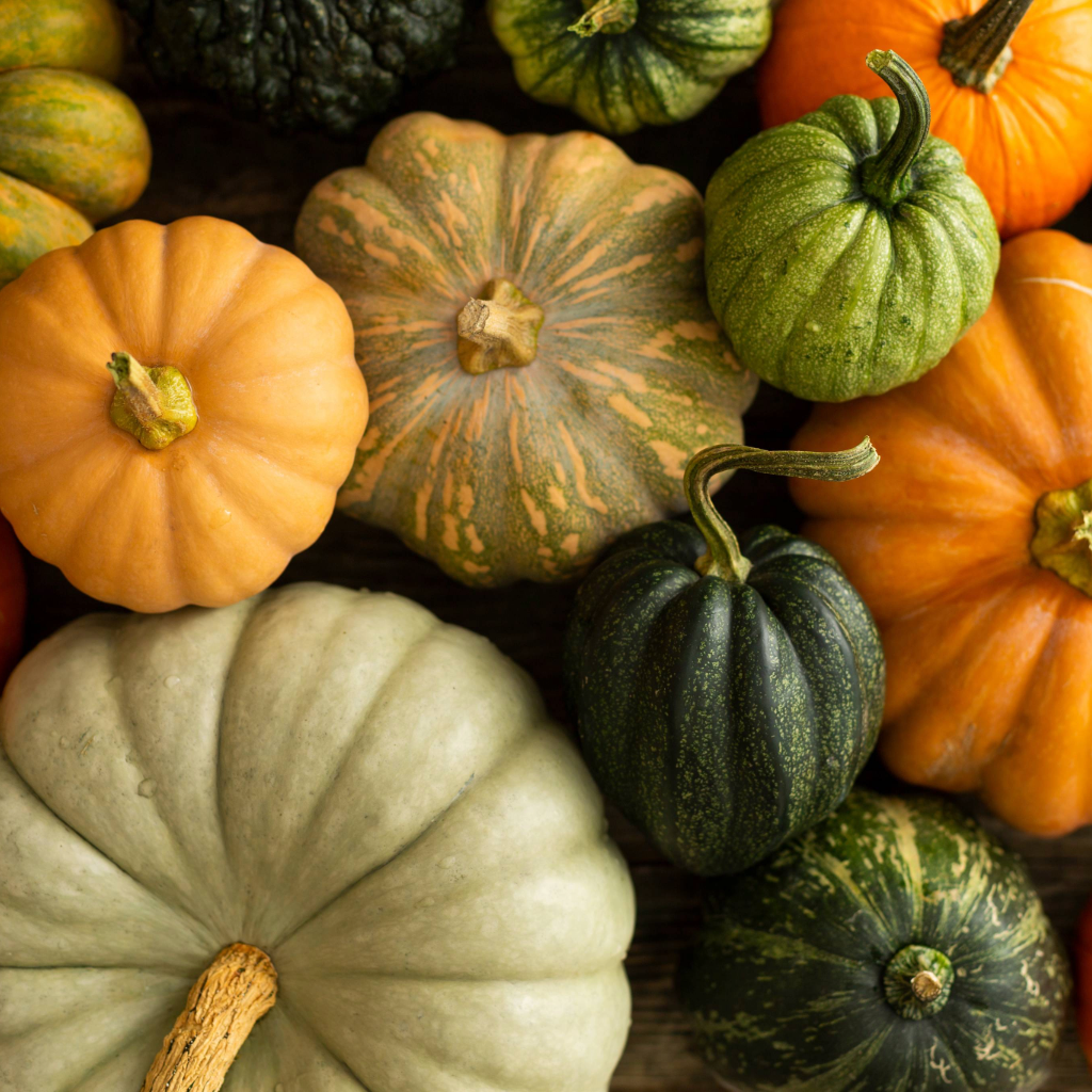 Annie's Heirloom Seeds | Hundreds Of Heirloom, Organic, and NonGMO Veg ...