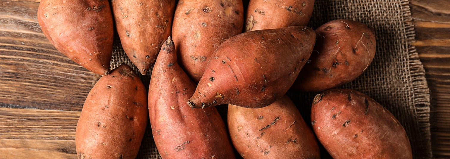 Annie's Heirloom Seeds | Hundreds Of Heirloom, Organic, and NonGMO Veg ...