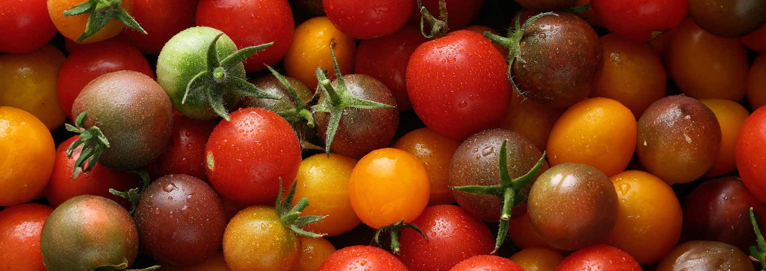 Annie's Heirloom Seeds | Hundreds Of Heirloom, Organic, and NonGMO Veg ...