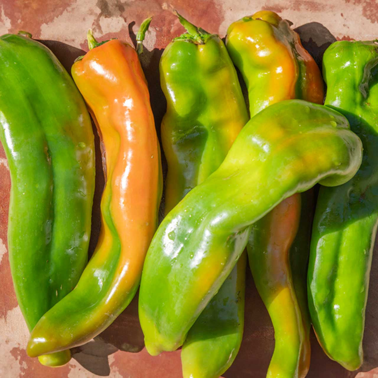 Organic Big Jim Hatch Pepper (Capsicum annuum) – Annies Heirloom Seeds
