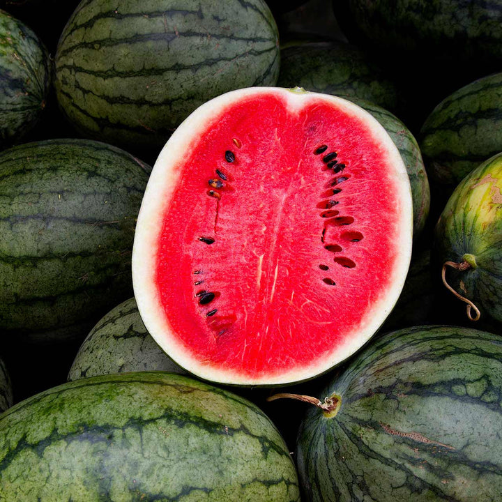 Watermelons – Annies Heirloom Seeds