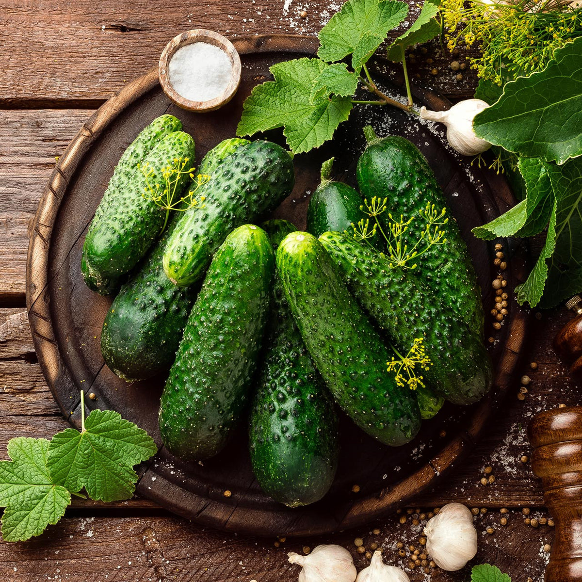 Cucumber – Annies Heirloom Seeds