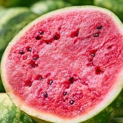 Watermelons – Annies Heirloom Seeds