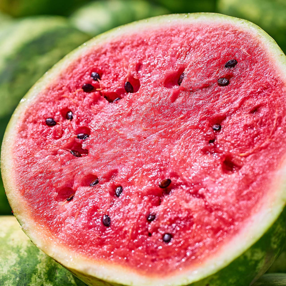 Watermelons – Annies Heirloom Seeds