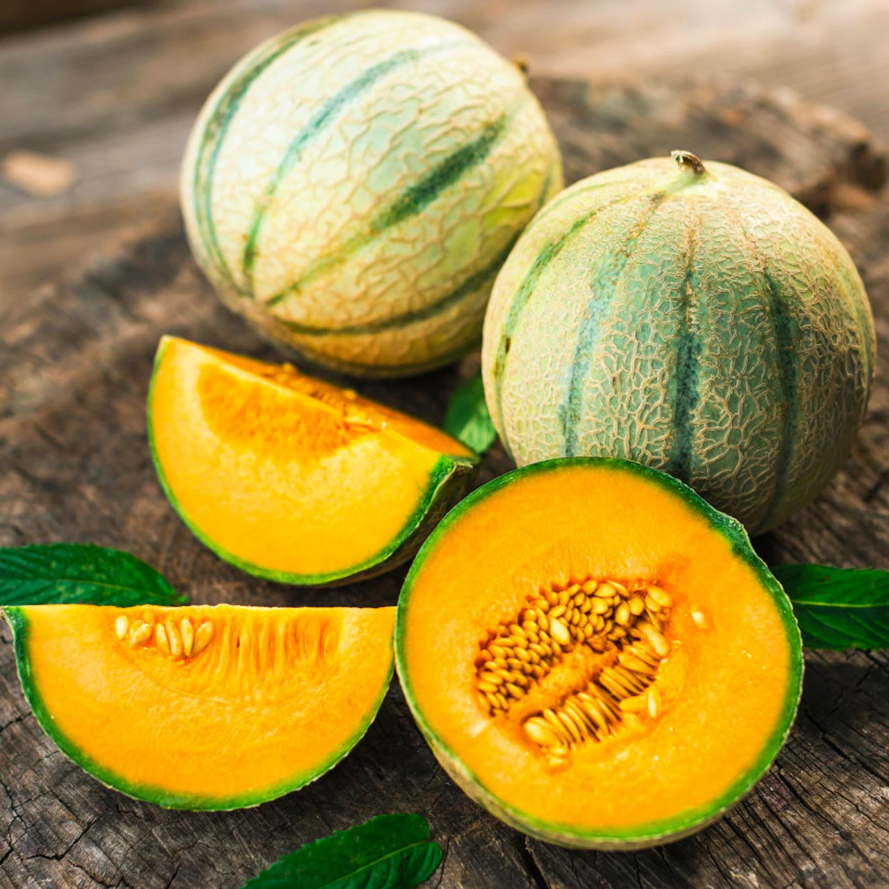 Melons – Annies Heirloom Seeds