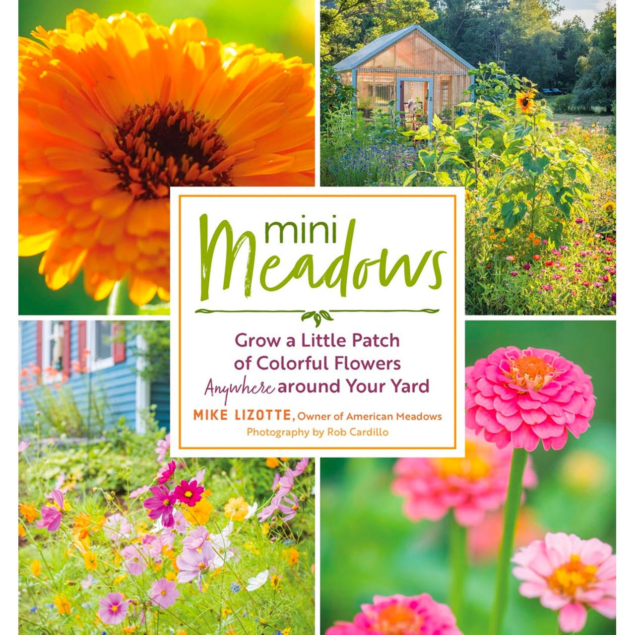 Mini Meadows – Annies Heirloom Seeds