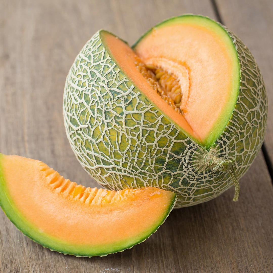Minnesota Midget Melon (Cucumis melo) – Annies Heirloom Seeds