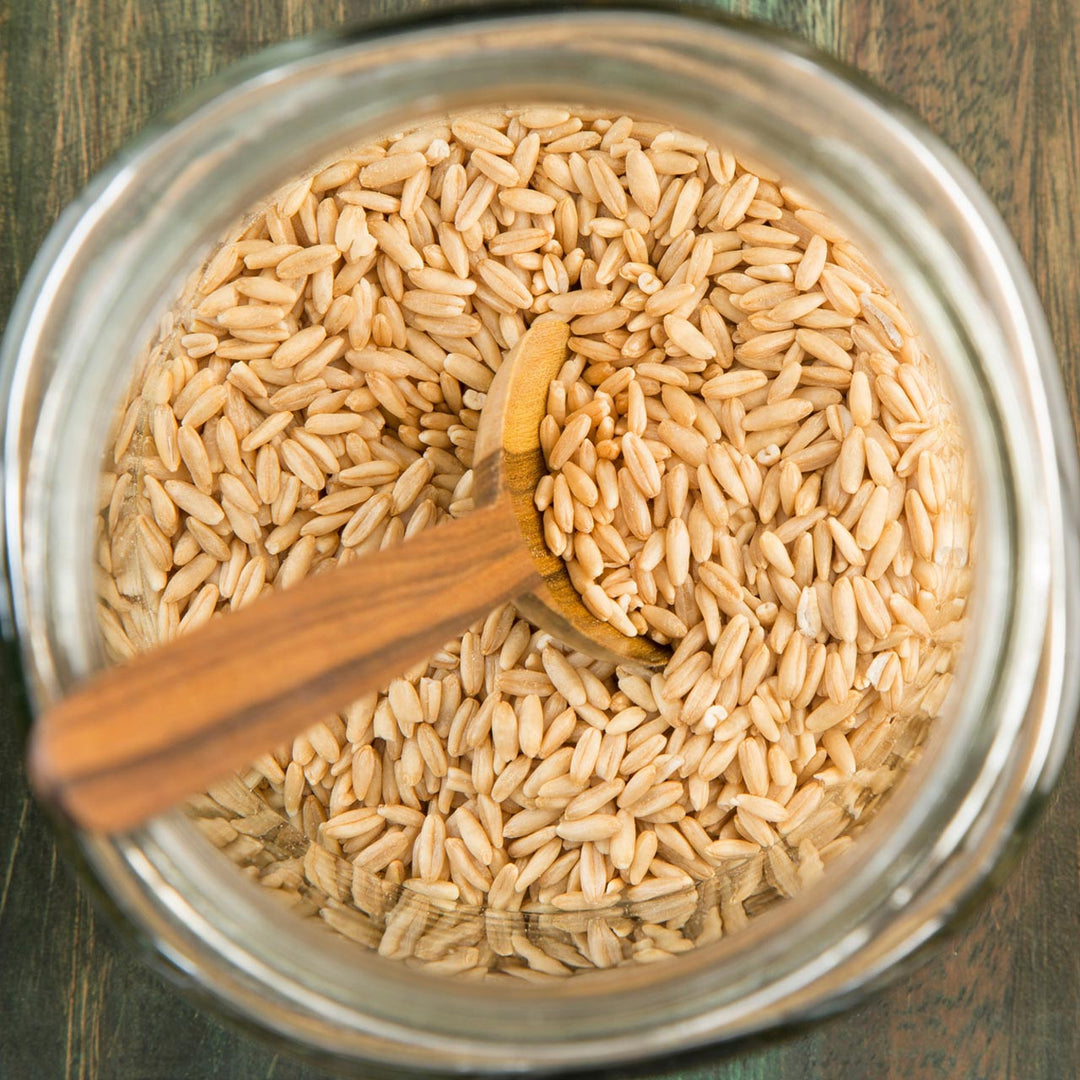 Organic Common Oats - Bulk (Avena sativa) – Annies Heirloom Seeds