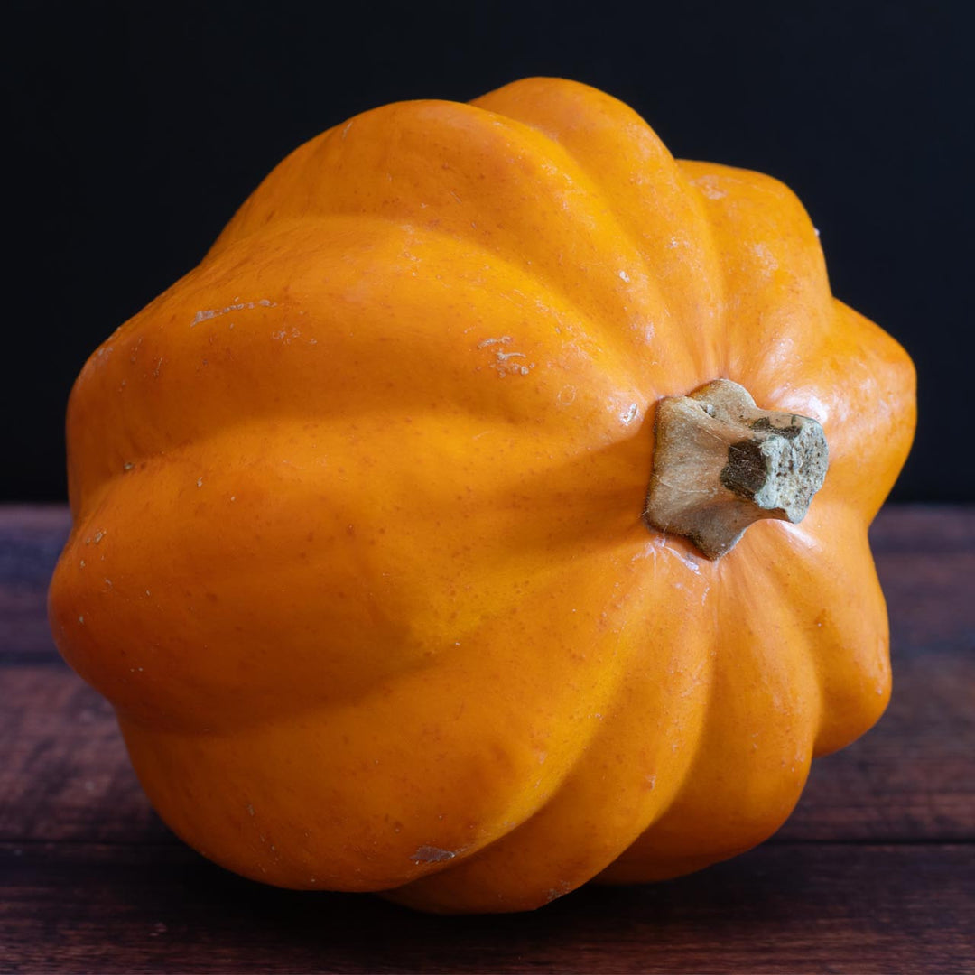 Organic Gills Golden Pippin Squash (Cucurbita pepo) – Annies Heirloom Seeds