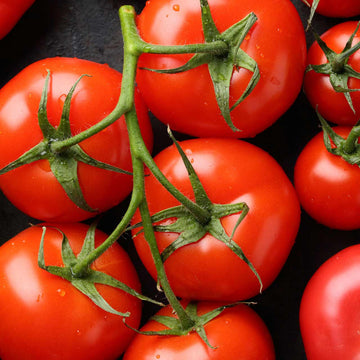 Organic Glacier Tomato (Solanum lycopersicum) Determinate – Annies Heirloom Seeds