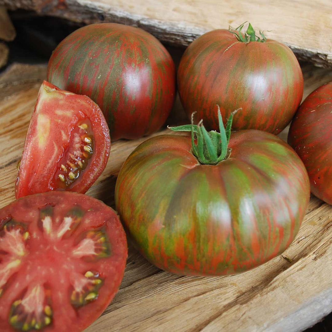 Organic Pink Berkeley Tie Dye Tomato (Solanum lycopersicum) Indetermin ...