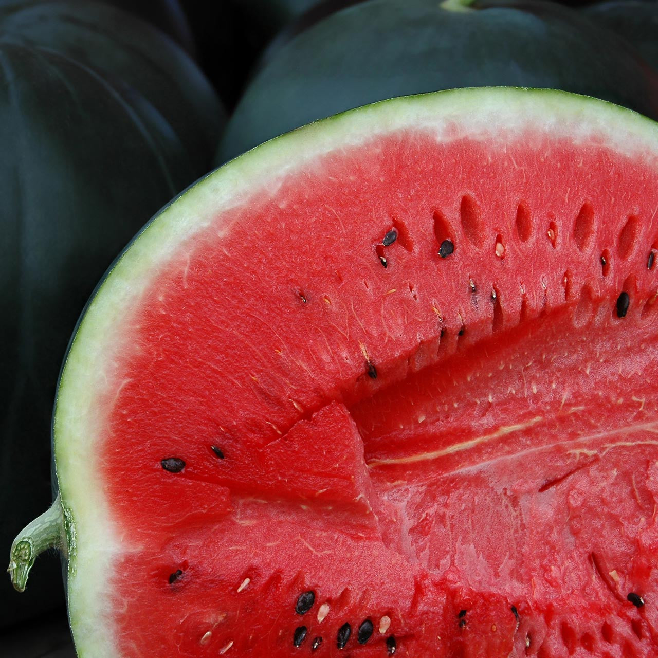Watermelons – Annies Heirloom Seeds